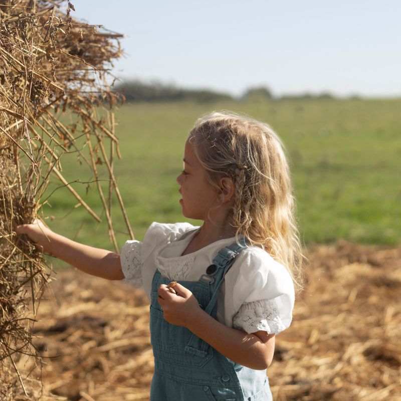 Davis Farmland Discovery Farm - Boston